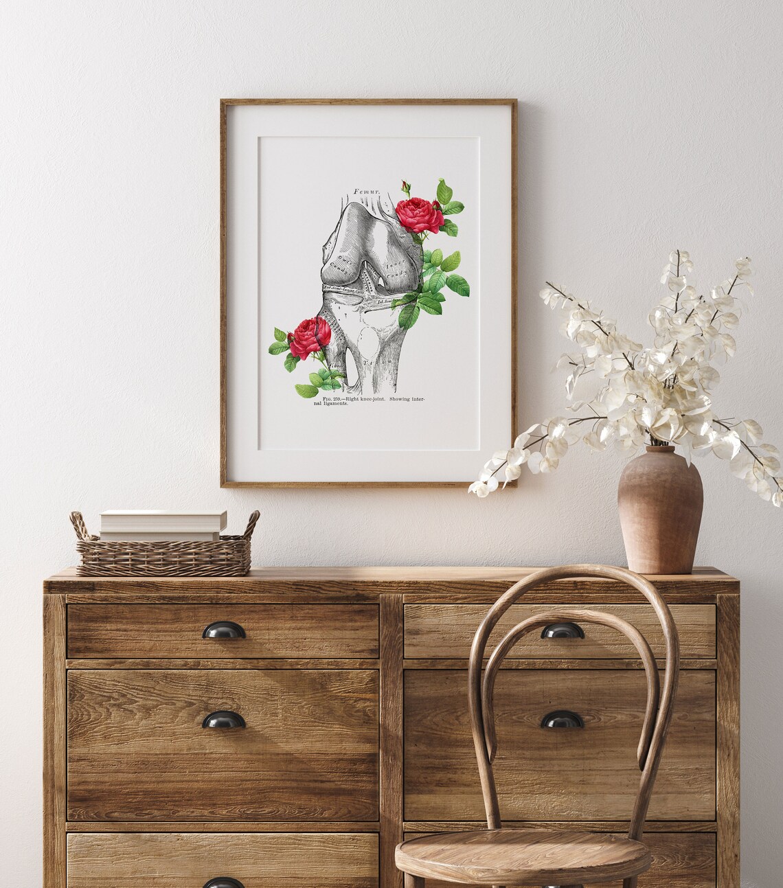 Knee Joint Internal Ligament Rose Flower Vintage Human Anatomy - Etsy