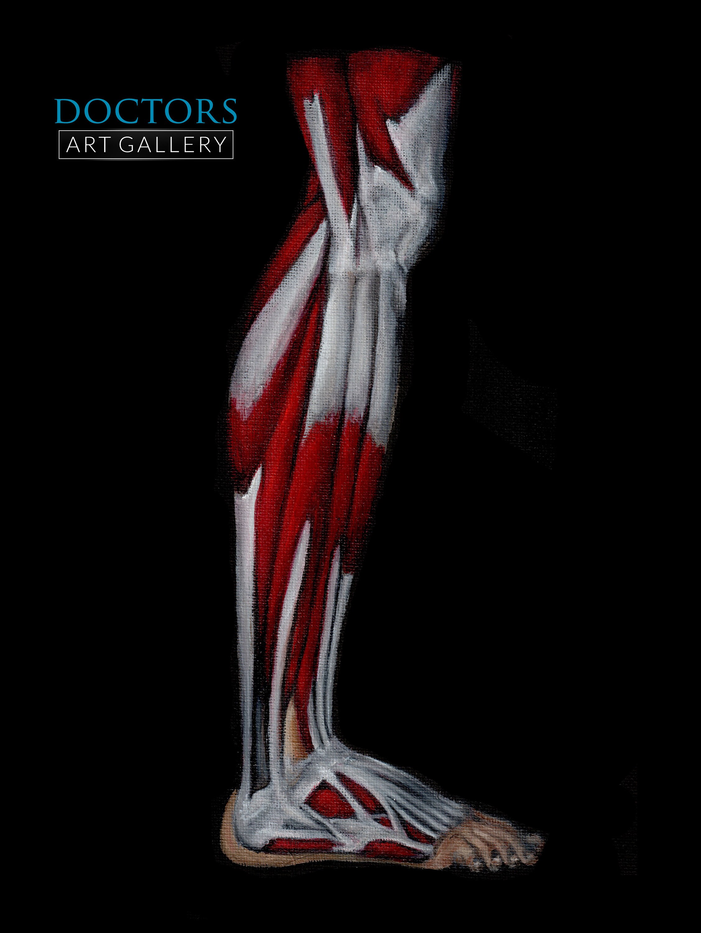 Leg Muscle Human Anatomy Painting Art Print - Etsy