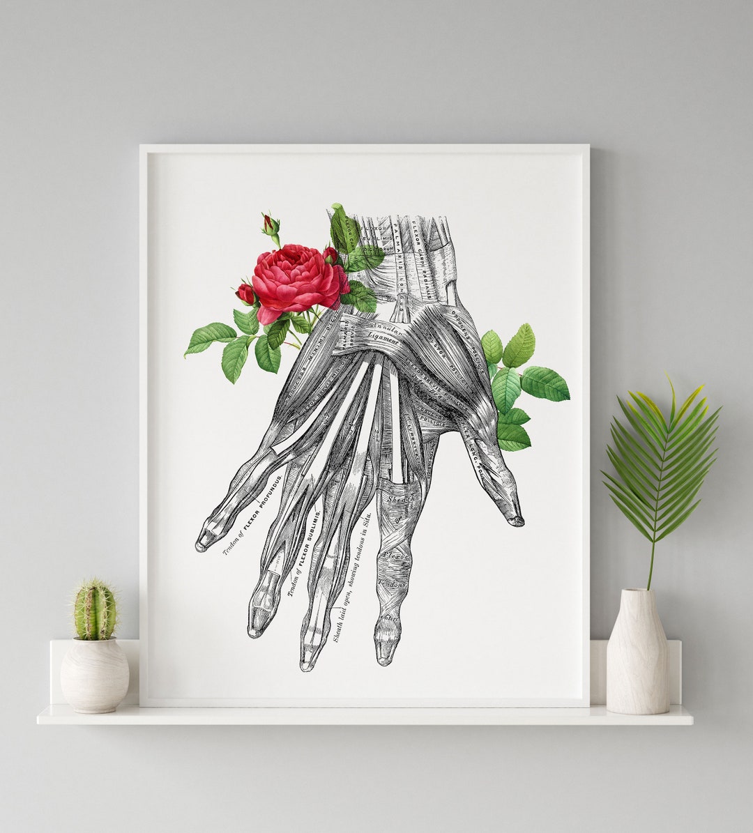 Hand Flexor Muscle Ligament Tendon Flower Rose Vintage Anatomical Art ...