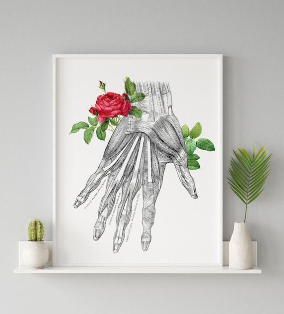 Hand Flexor Muscle Ligament Tendon Flower Rose Vintage - Etsy
