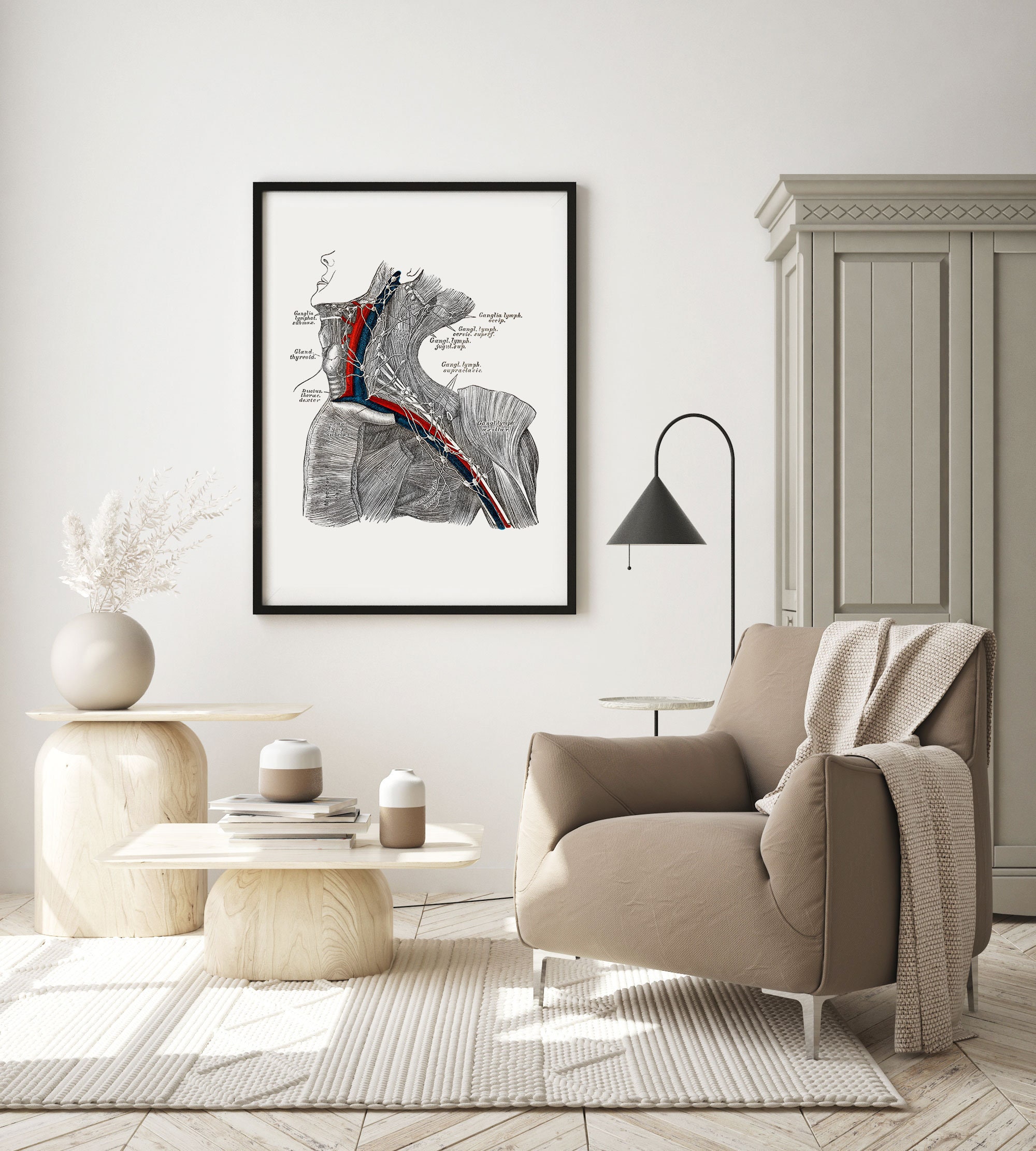 Lymph Node Carotid Artery Jugular Neck Muscle Vintage Human Anatomy Art ...