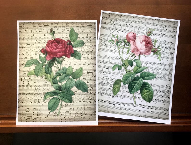 Pink Rose Flower Sheet Music Art Print | Etsy