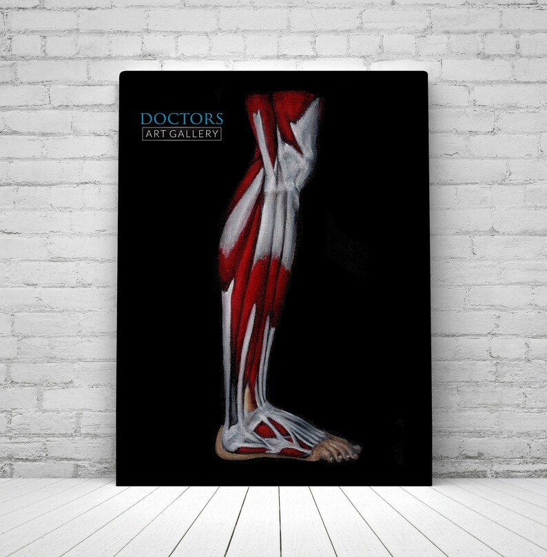 Leg Muscle Human Anatomy Painting Art Print - Etsy