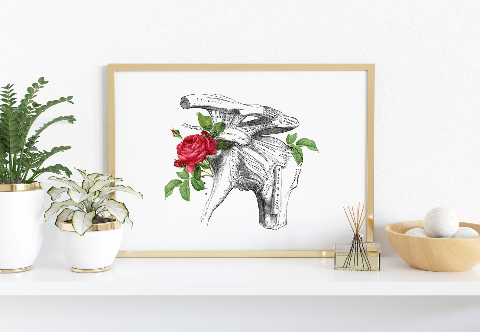 Shoulder Joint Rose Flower Human Anatomy Art Print Muscle PT Floral ...