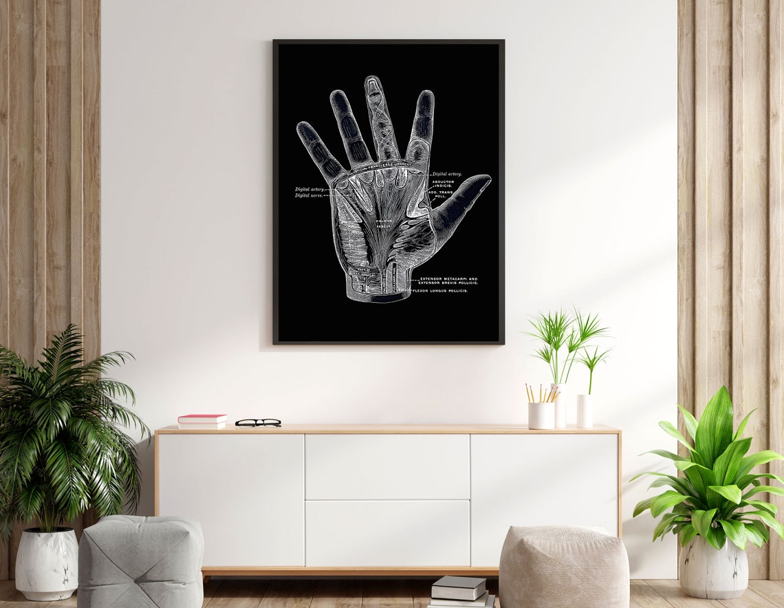 Hand Muscle Ligament Artery Nerve Tendon Vintage Human Anatomy - Etsy