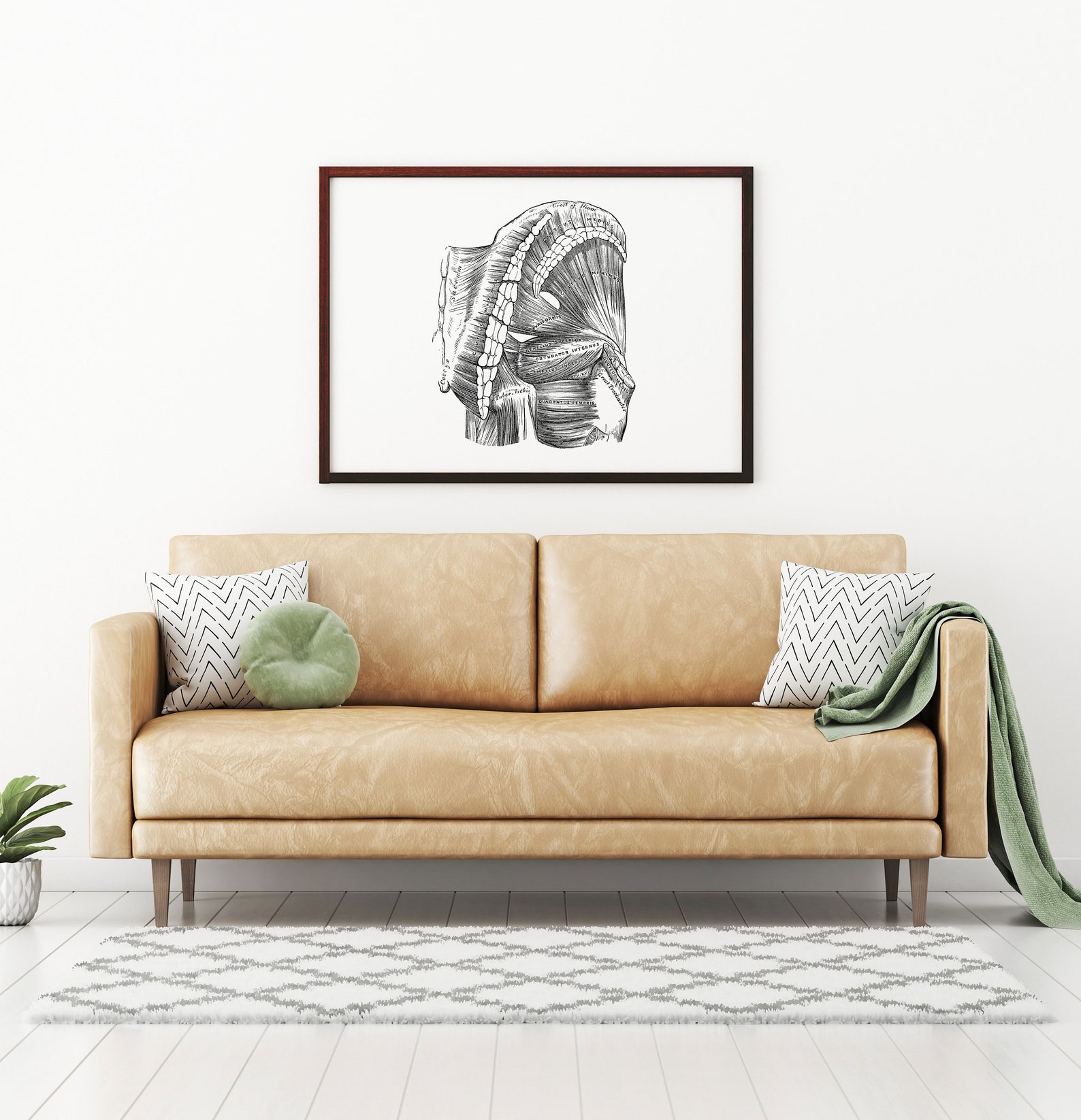 Gluteus Muscle Vintage Human Anatomy Art Print Medical Drawing - Etsy