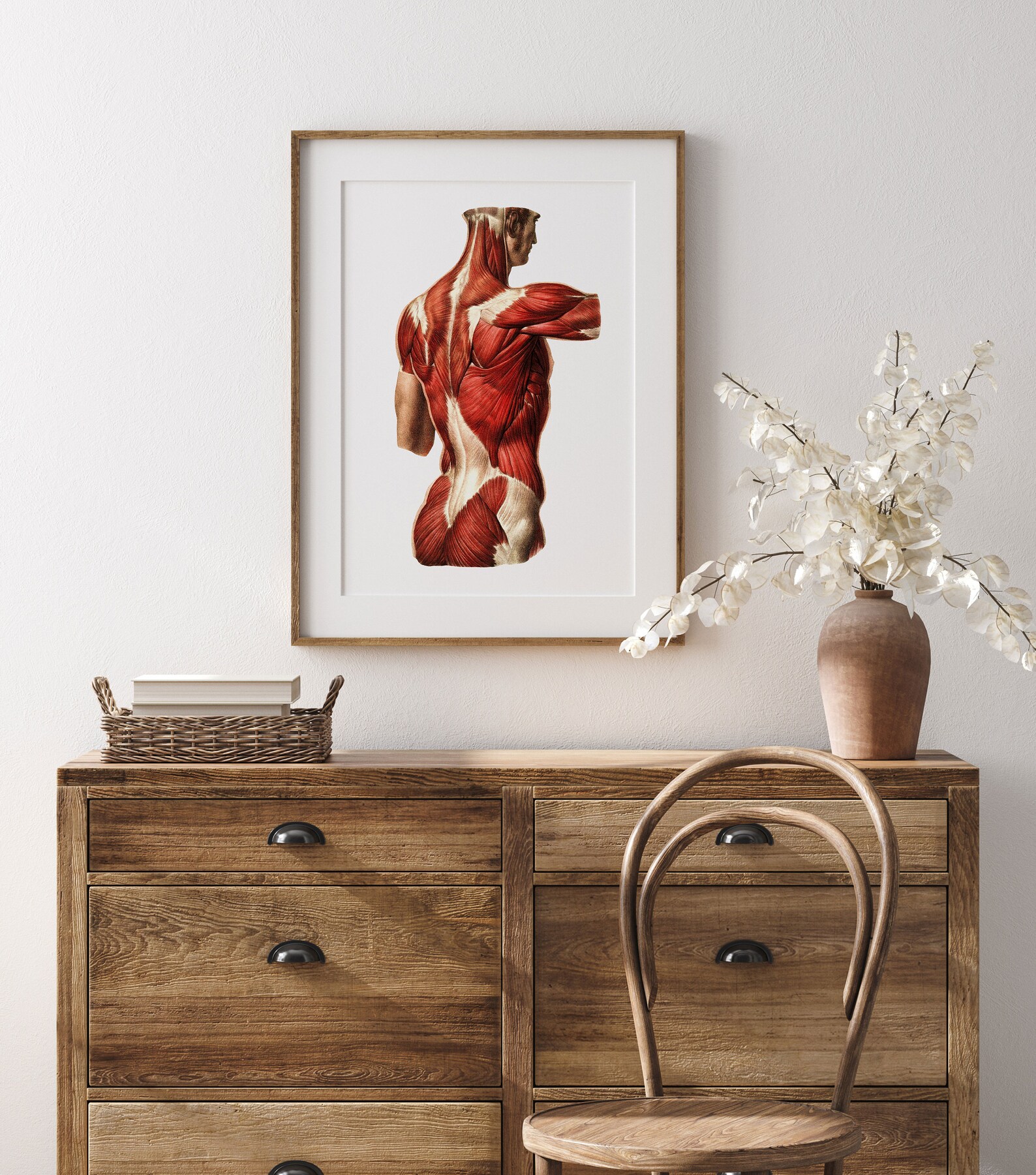 Muscles of the Back Vintage Human Anatomy Art Print - Etsy