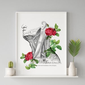 Neck Muscle Floral Vintage Human Anatomy Art Print Flower Medical ...
