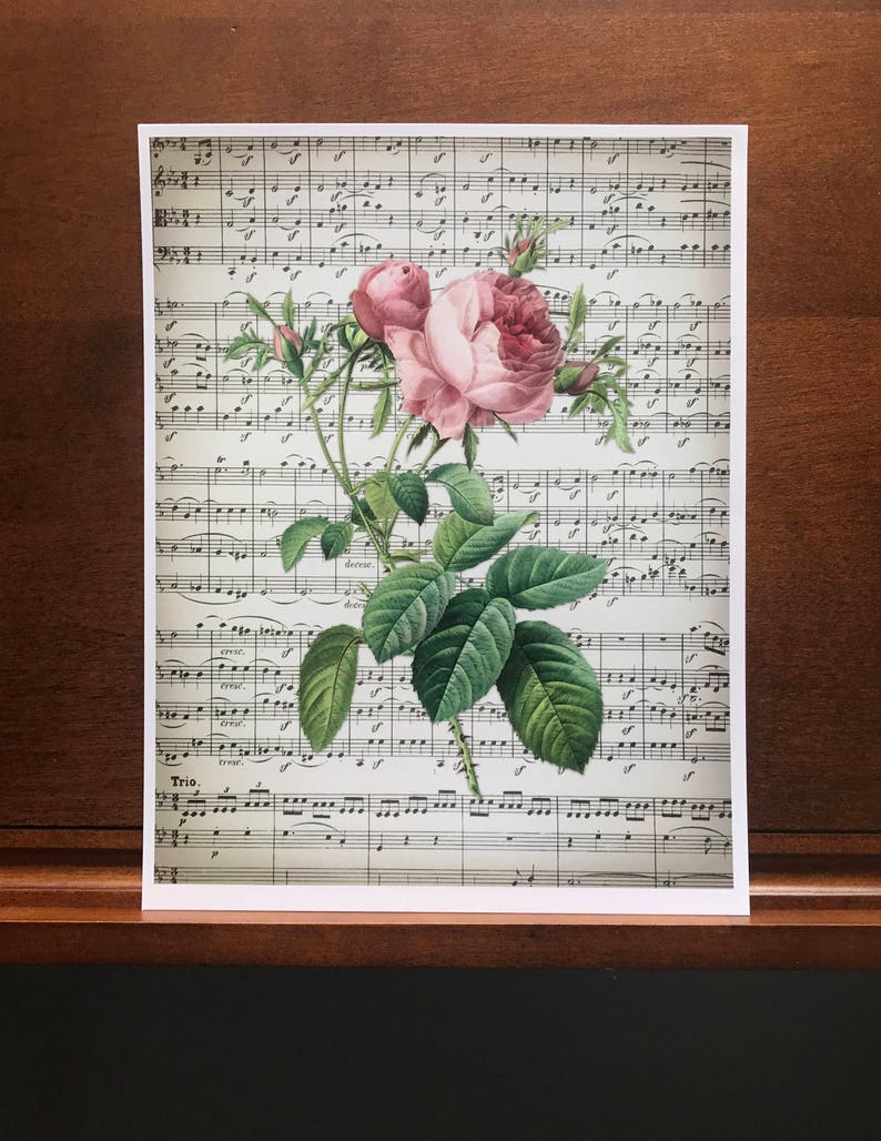 Pink Rose Flower Sheet Music Art Print | Etsy