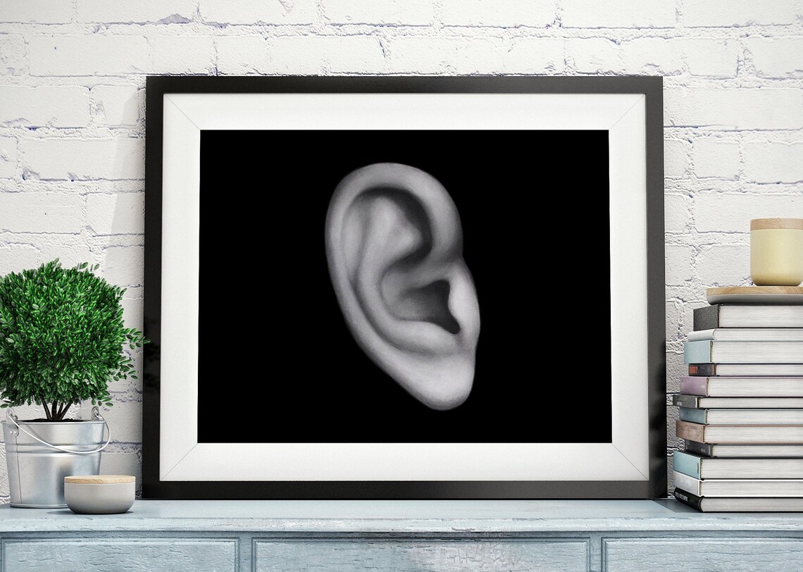 Audiology Ear Anatomy Painting Art Print | Etsy