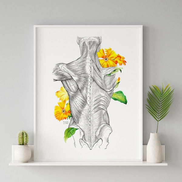 Floral Muscle Anatomy Prints - Etsy