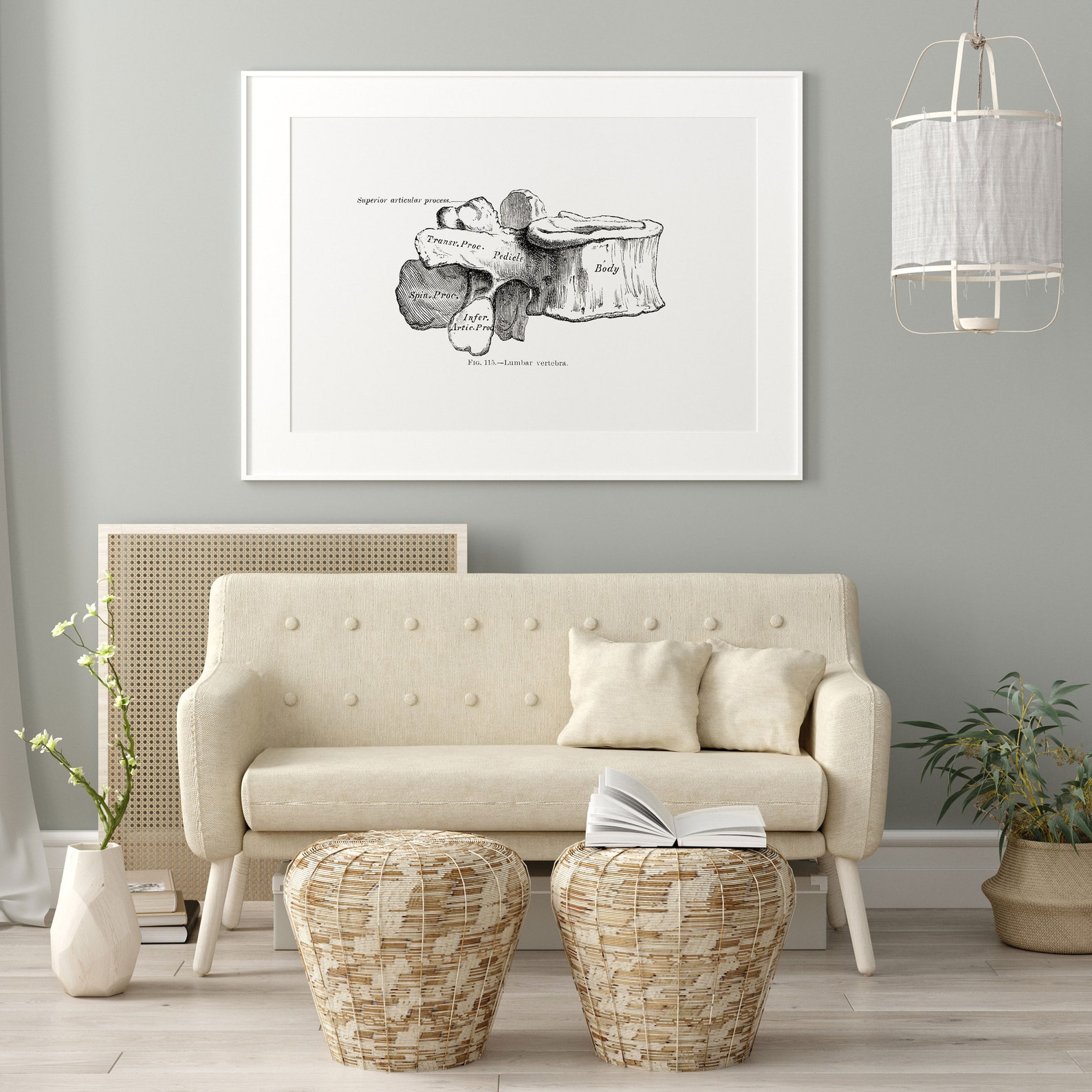 Lumbar Vertebra Spine Bone Vintage Osteology Human Anatomy Art Print - Etsy