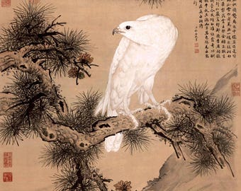 Chinese Falcon Print - Etsy