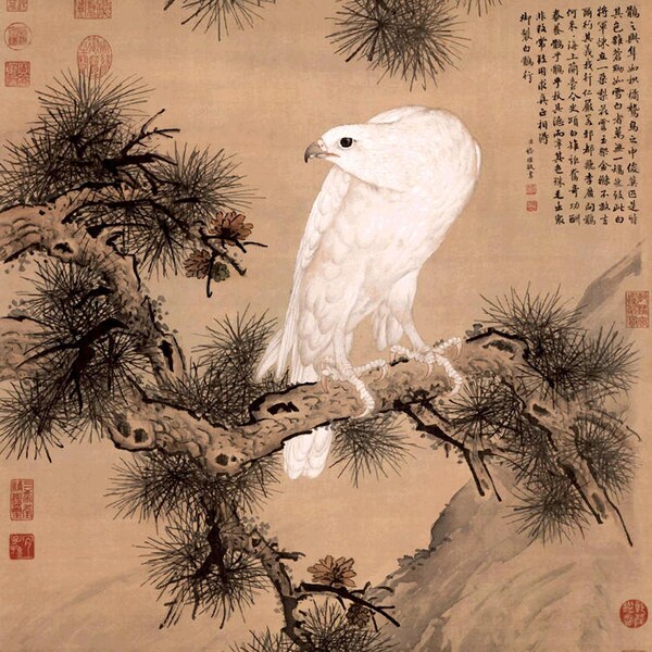Chinese Birds - Etsy