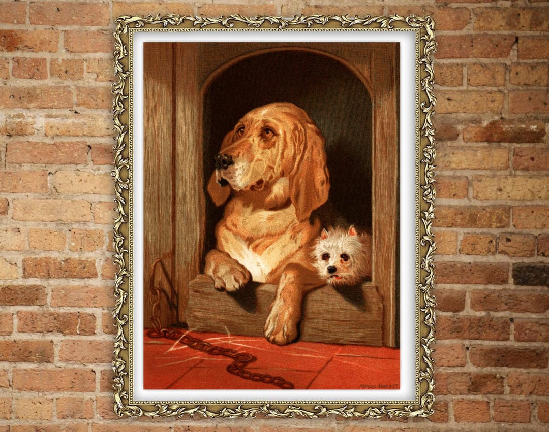 Antique Prints, Dog Paintings, Dog Drawing, Albrecht Durer Lying Dog ...