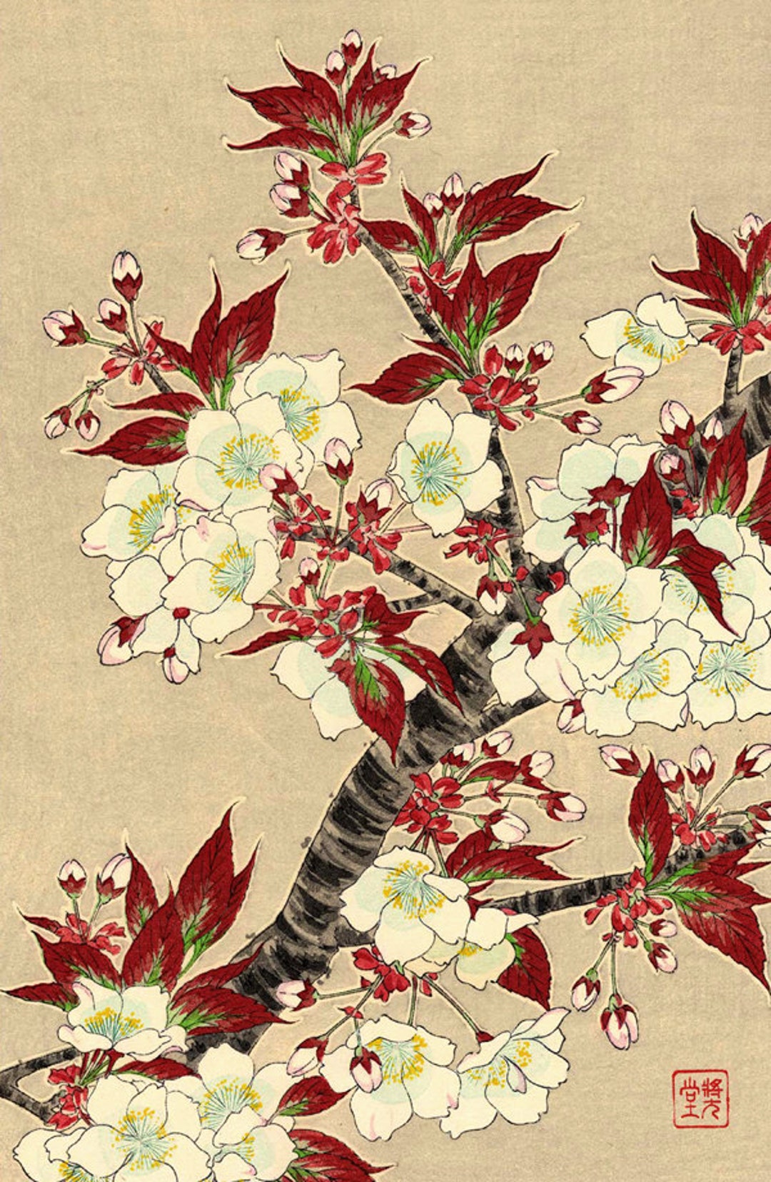 Japanese Flowers Art Prints, Floral Art, Blooming Sakura Cherry ...
