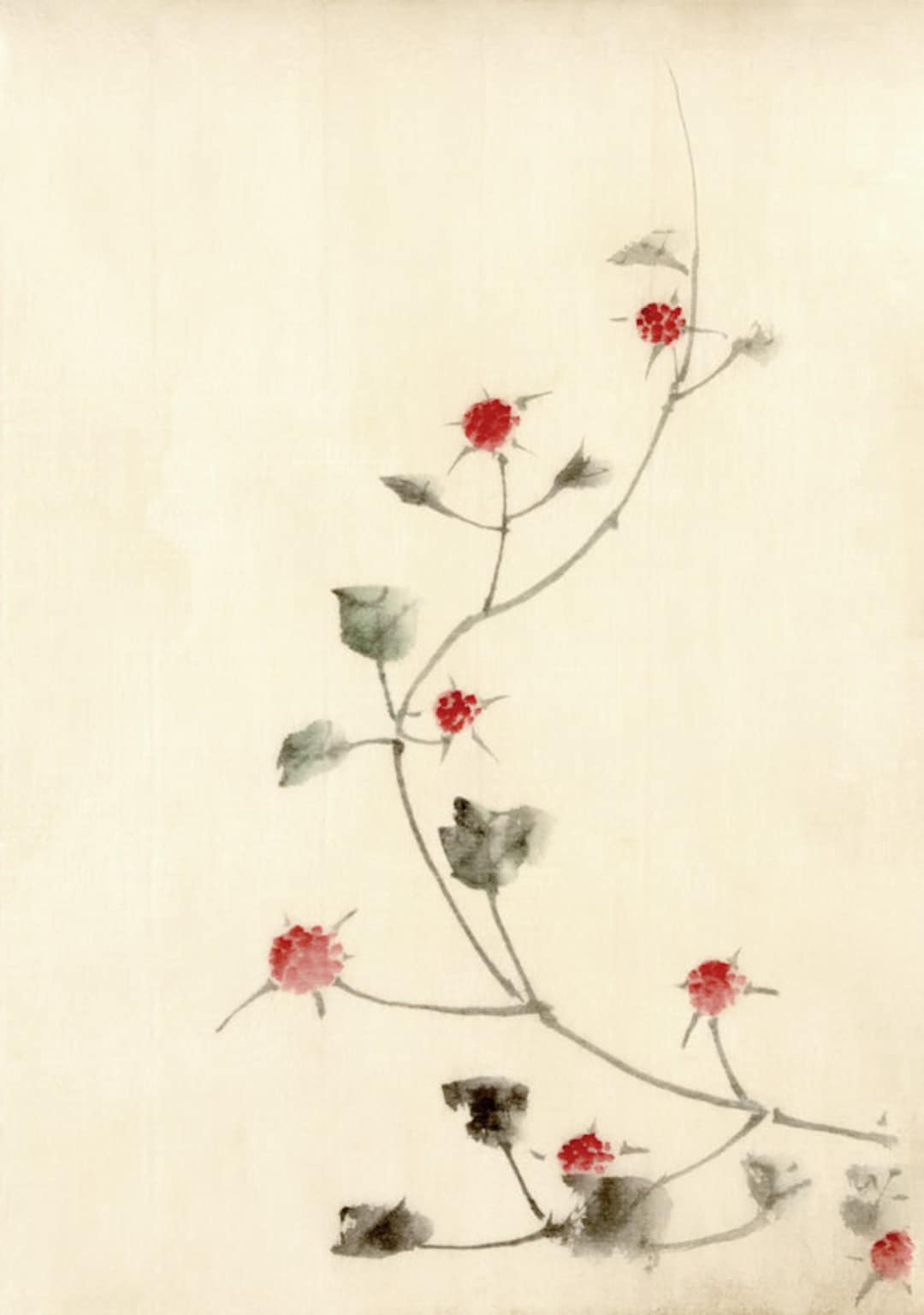 Japanese Flower Drawing