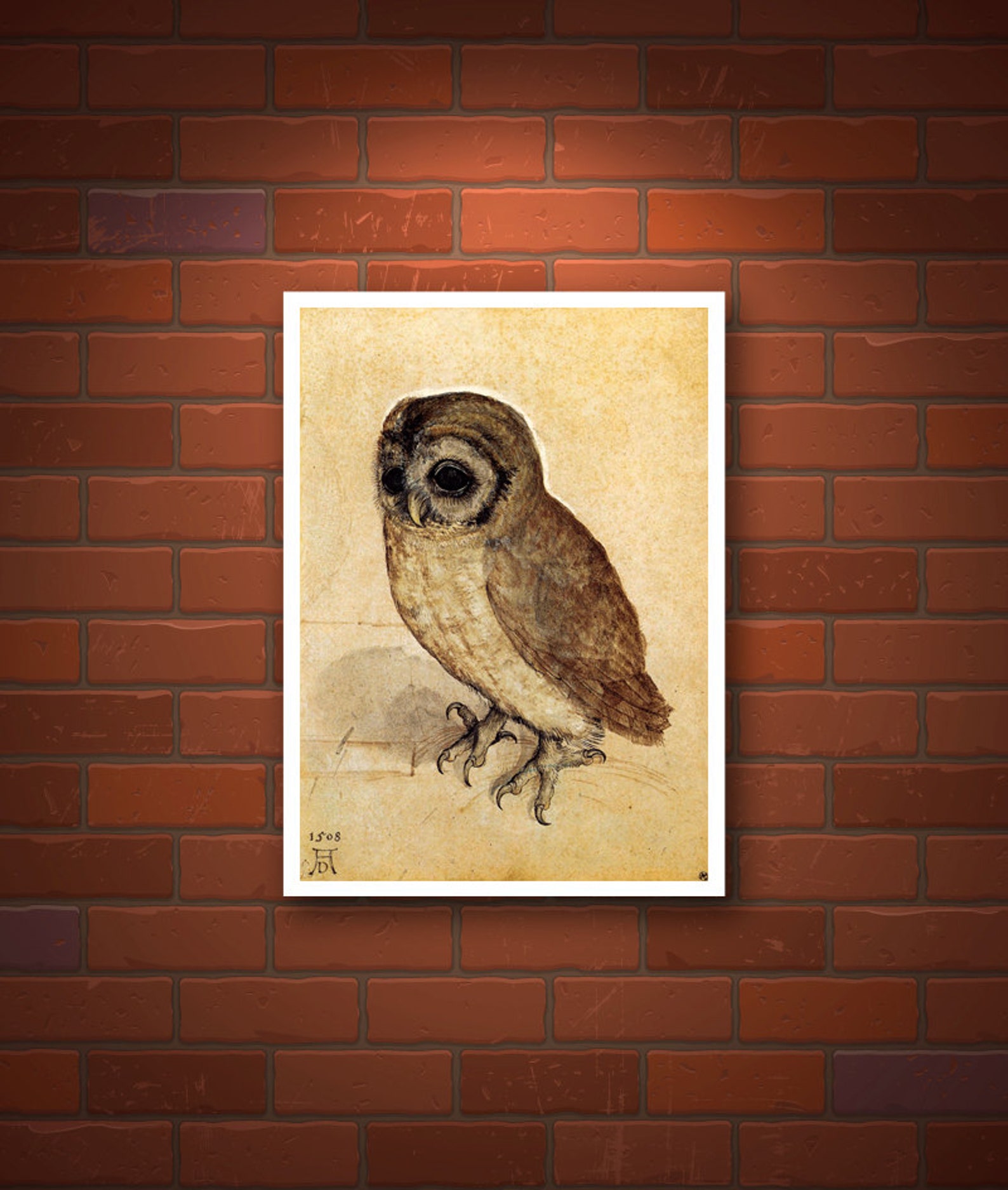 Owls Vintage Antique Art Prints Art Posters the Little Owl | Etsy