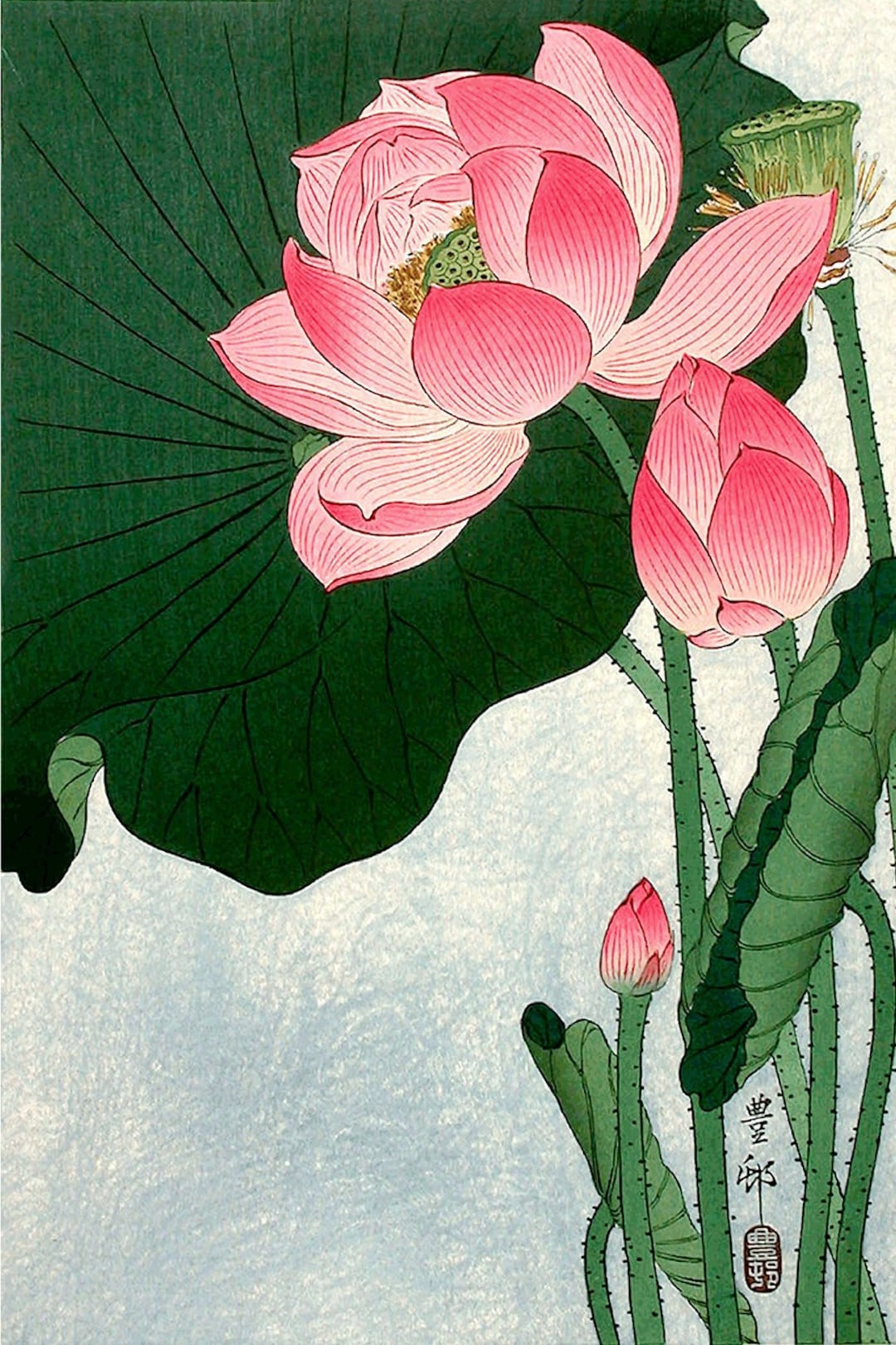 Japanese Art Prints, Japanese Flowers Botanical Art Print, Flowering ...