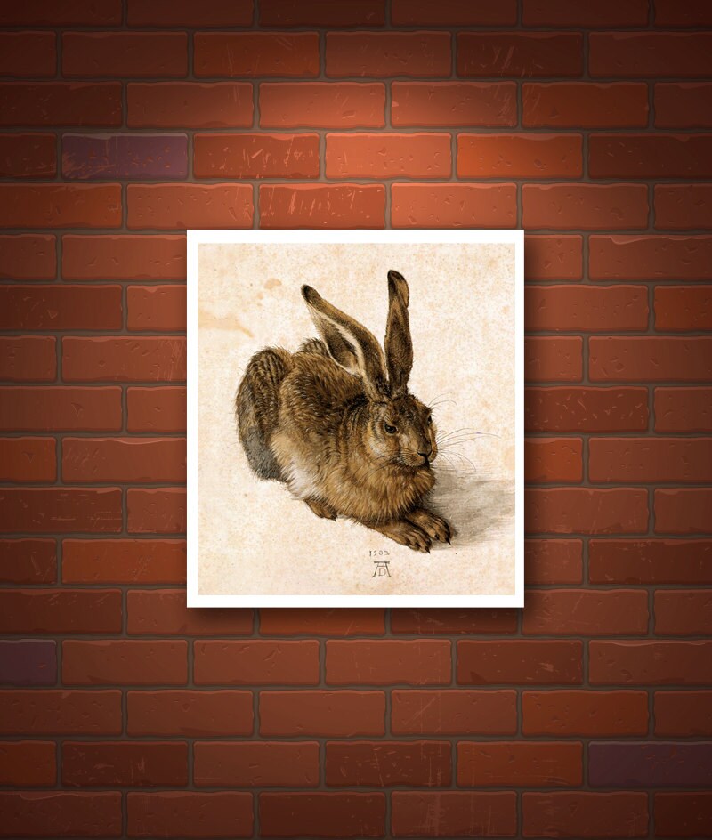 Rabbits Jackrabbits Young Hare Albrecht Dürer FINE ART - Etsy Sweden