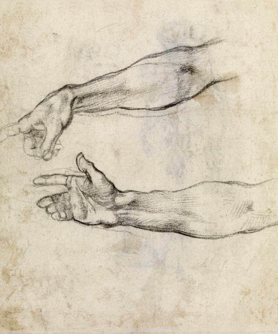 European Art, Studies of Hands Michelangelo Drawings FINE ART RTINT ...