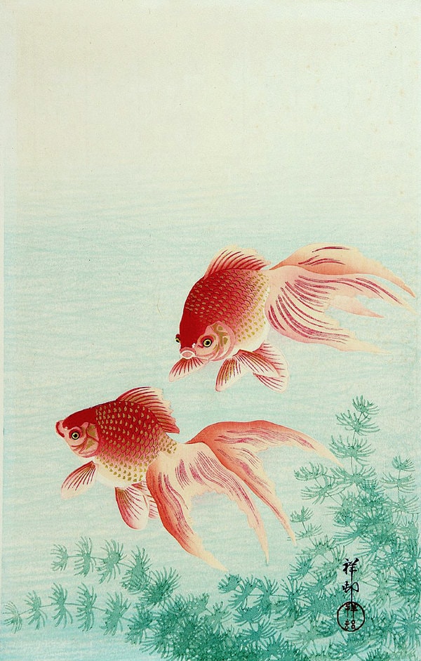 Japanese Painting Fish