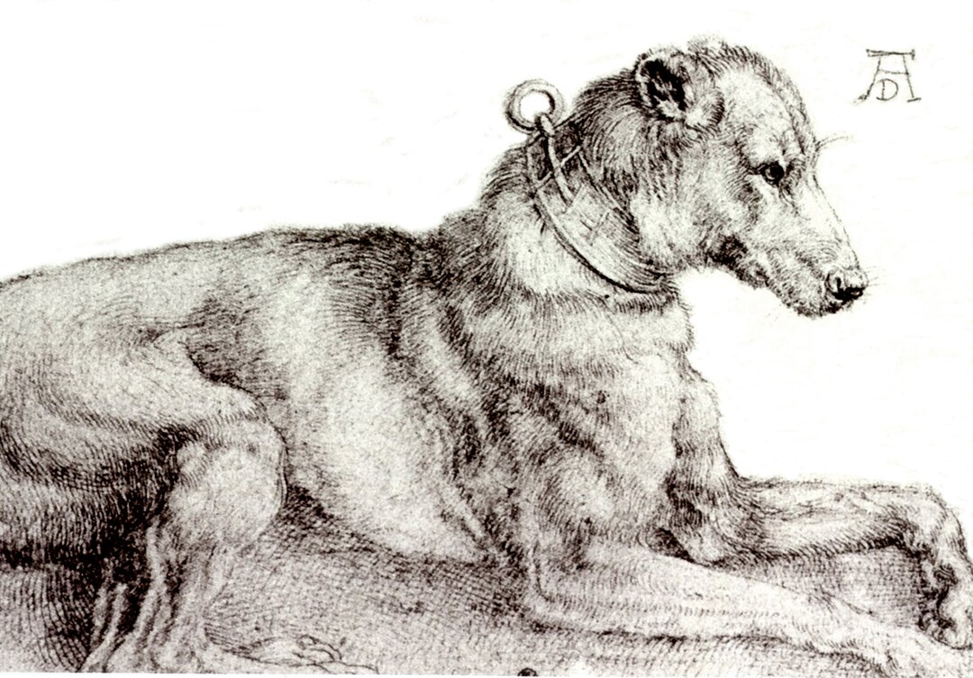Antique Prints Dog Paintings Dog Drawing Albrecht Durer - Etsy