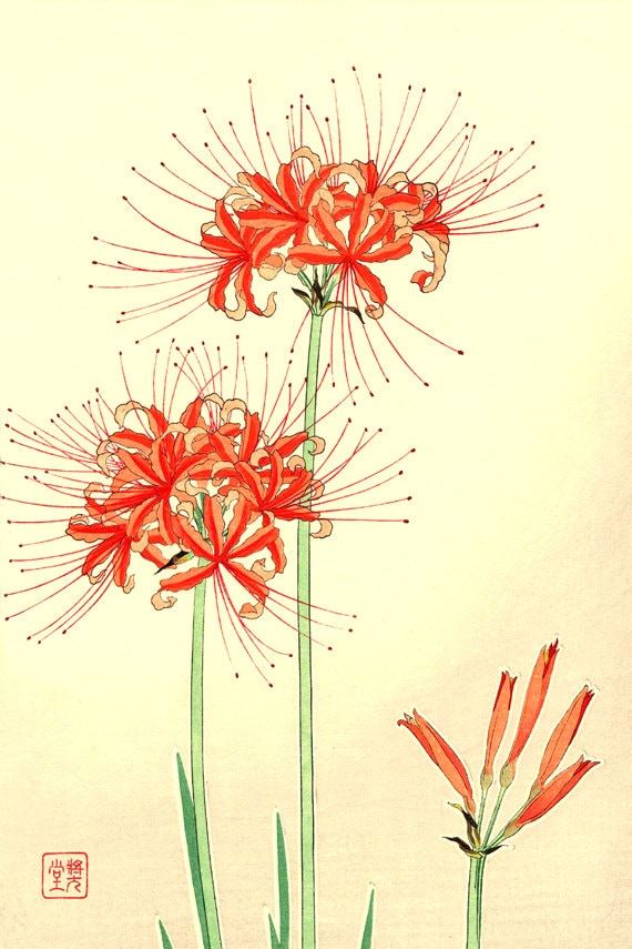 Japanese Art Flowers Floral Plants Botanical Art Prints - Etsy