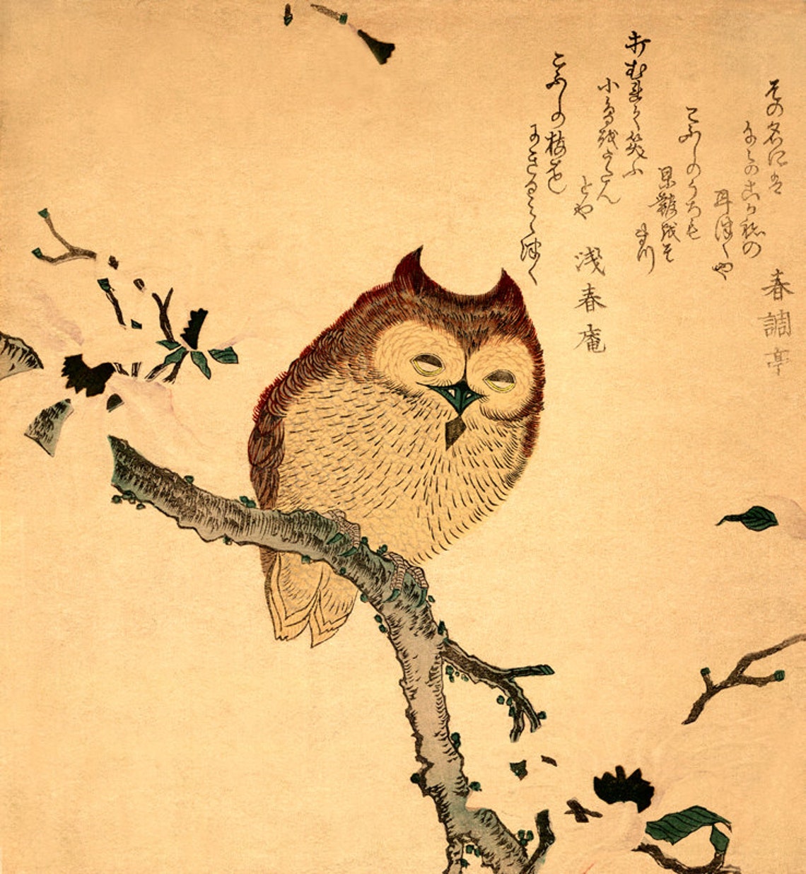 Japanese Art Owl and Magnolia FINE ART PRINT Old Antique - Etsy