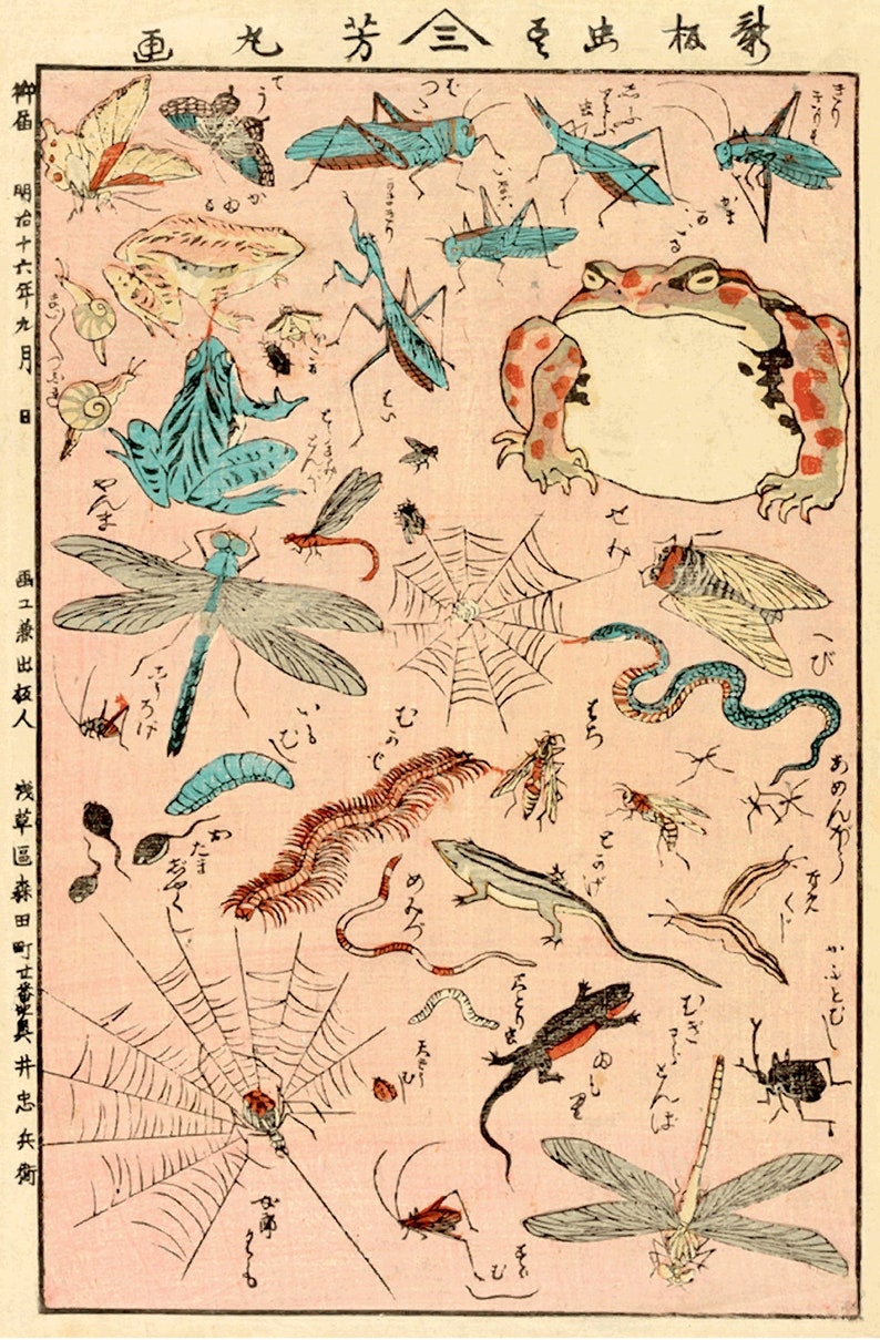 Japanese Art Animals Insects Prints Insects and Small | Etsy
