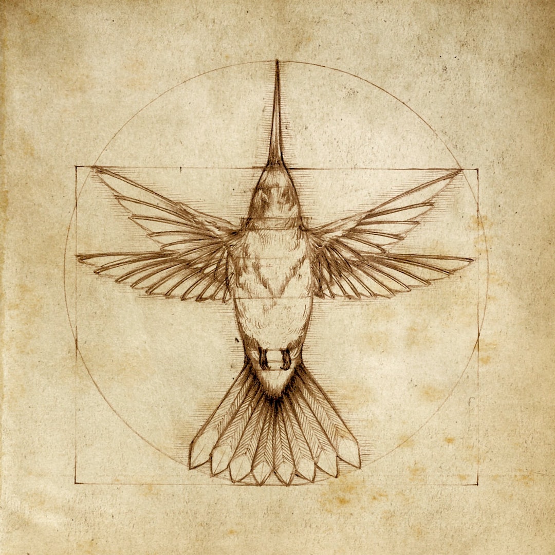 Leonardo Da Vinci Art, Da Vinci Drawings, Paintings, Animal Drawings ...