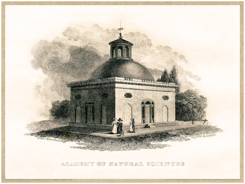 Antique Philadelphia Print - the Academy of Natural Sciences - George ...