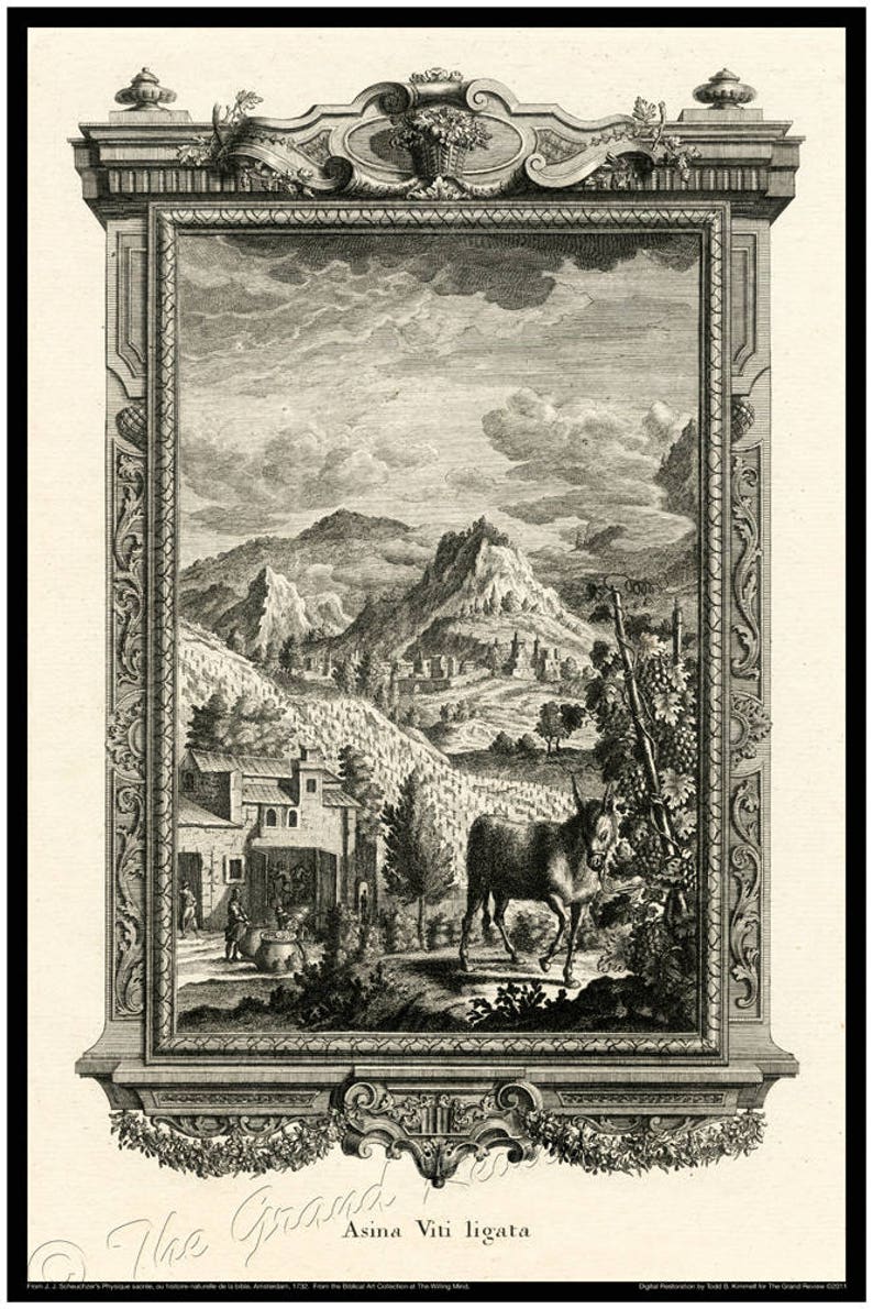 Biblical Circumcision Print Scheuchzer Physica Sacra - Etsy