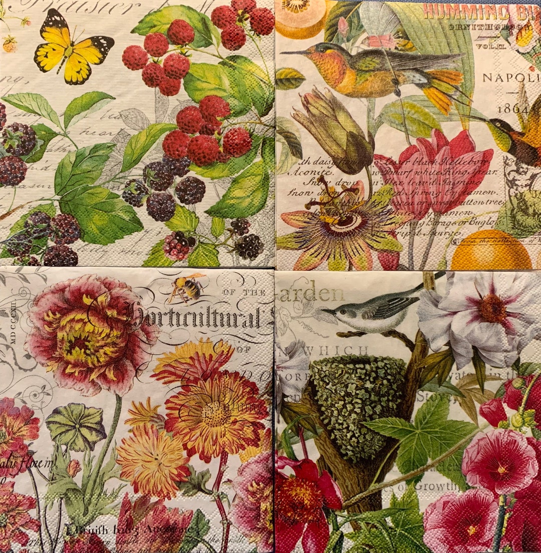 8 Napkins Decoupage Florals Botanicals Flower Nest Butterflies Birds ...