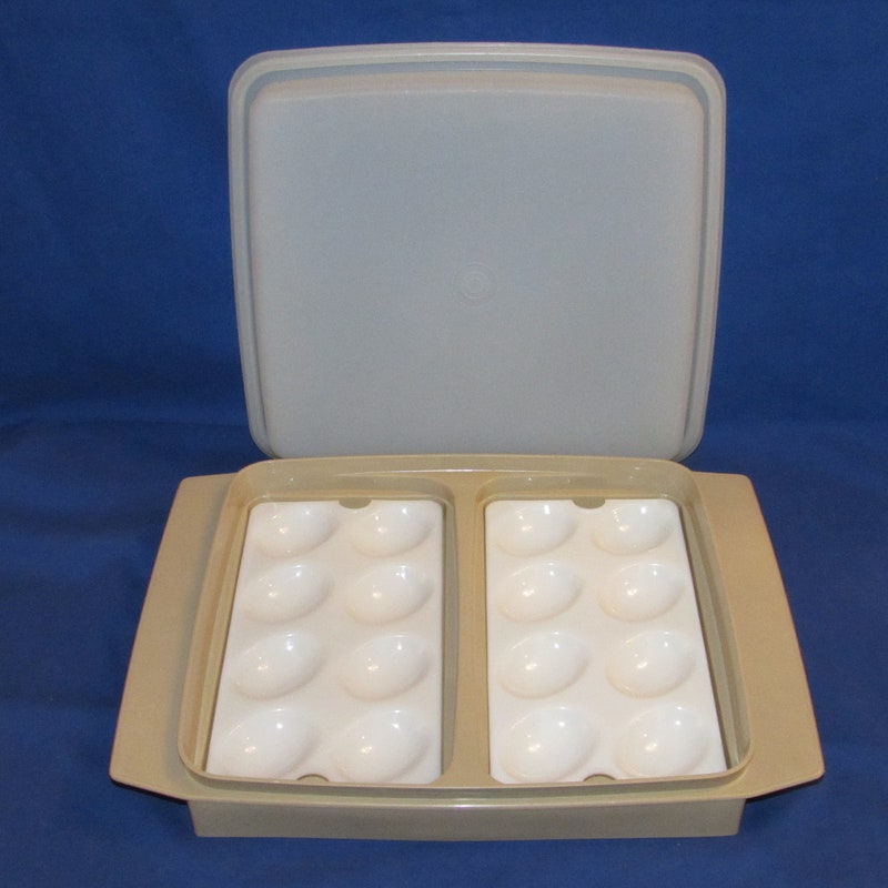 Deviled Egg Carrier - Etsy