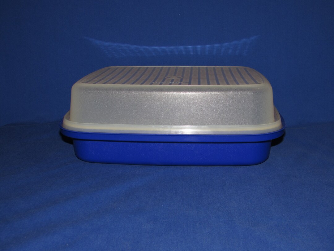 TUPPERWARE Large Meat Tenderize and Marinate STORAGE CONTAINER Blue ...