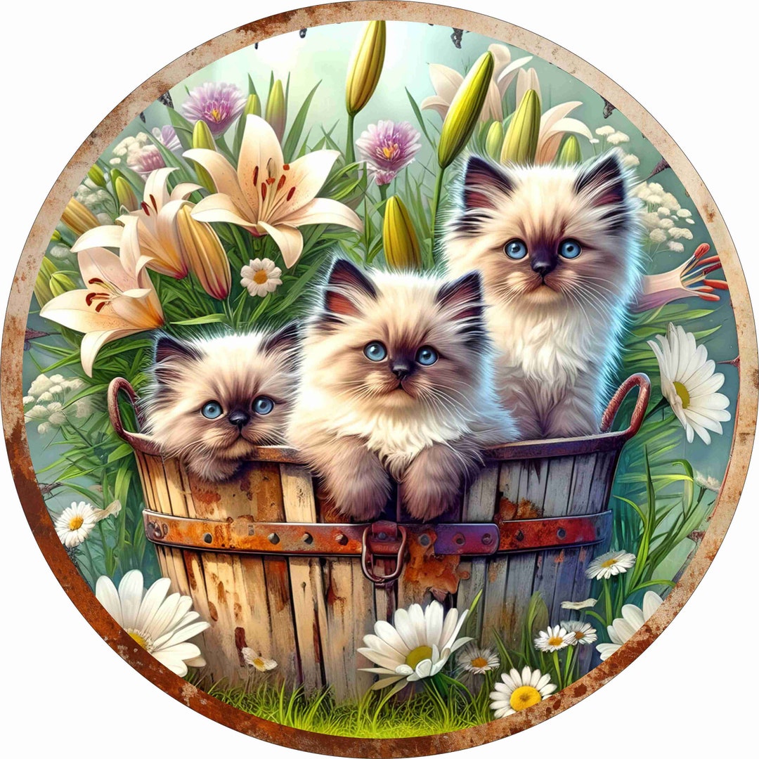 Round Cat Wreath Sign, Kitten Wreath Sign, Personalize It by Pam, Door ...
