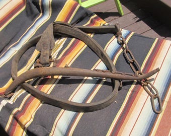 Oxen harness | Etsy
