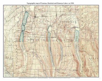 Cayuga Lake 1902 USGS Old Topographic Map Custom Composite