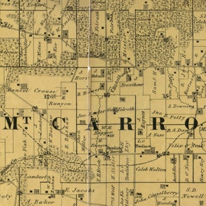 Carroll County Illinois 1869- Old Wall Map Reprint With Homeowner Names ...