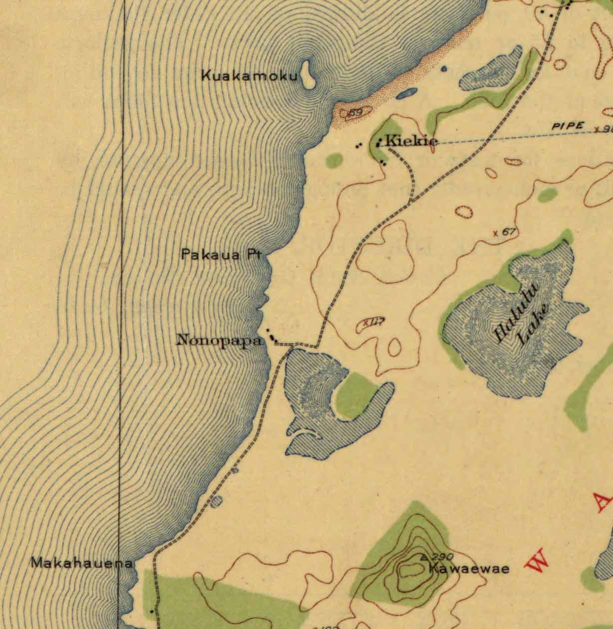 Niihau 1929 USGS Old Topographical Map Hawaiian Islands | Etsy