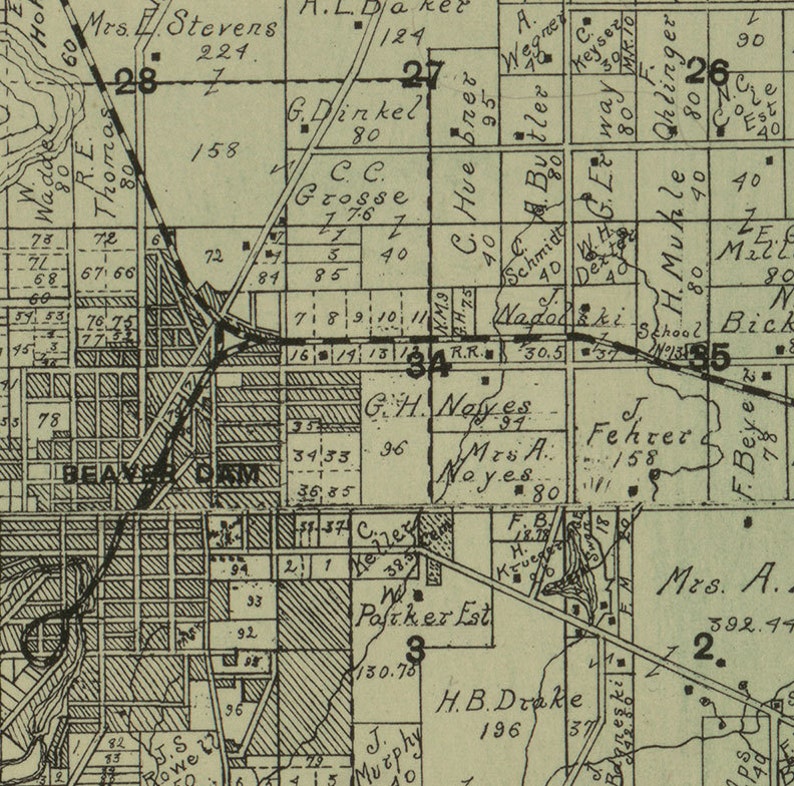 Dodge County Wisconsin 1900 - Old Wall Map Reprint With Homeowner Names ...