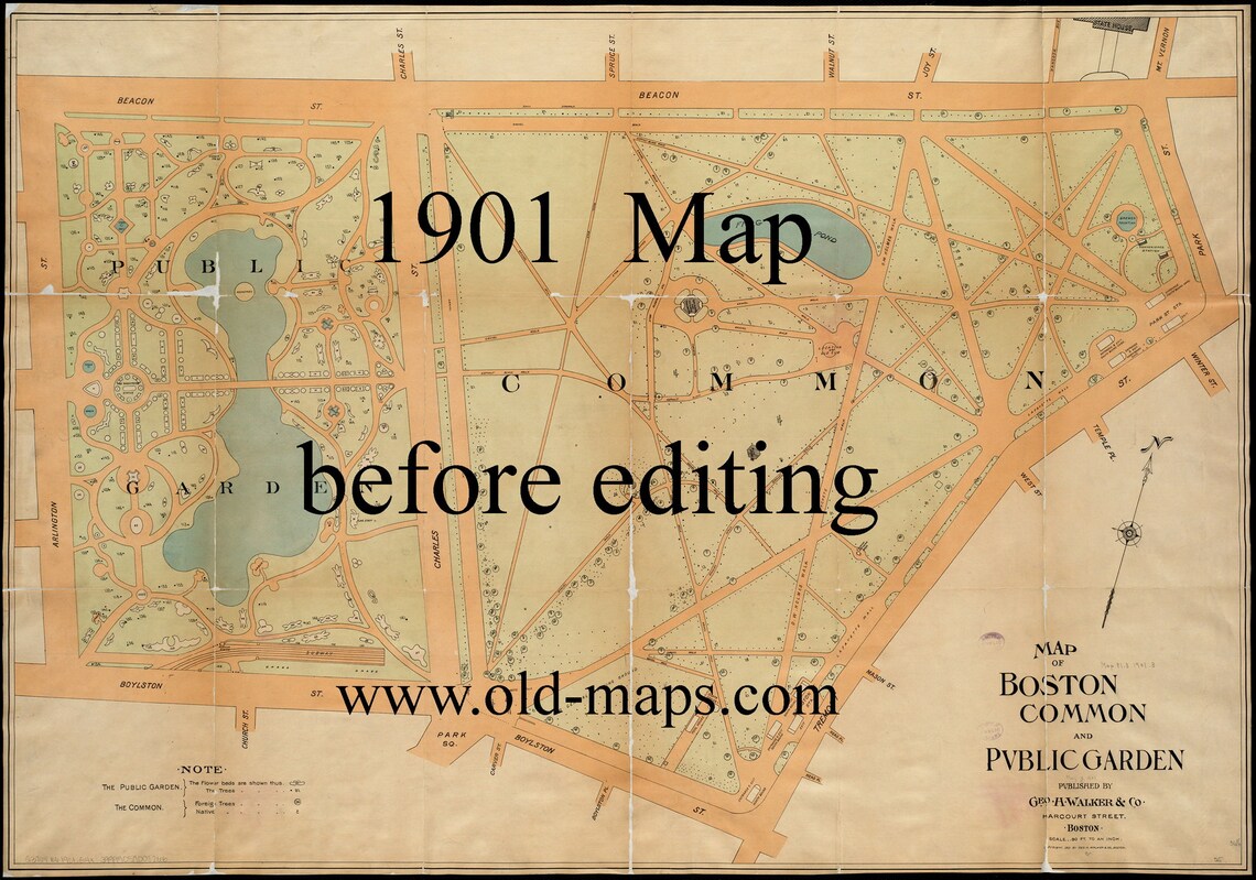 Boston Common Public Garden 1901 Map Massachusetts Not Much | Etsy