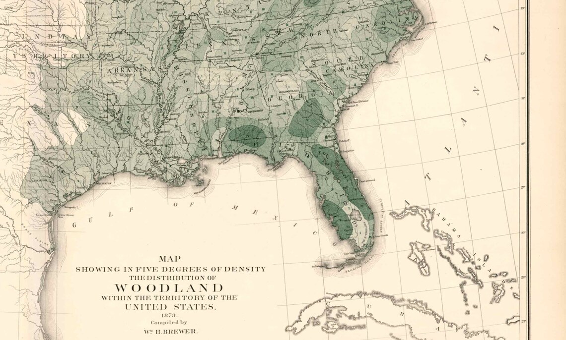 USA Woodland & Forests Map 1873 Reprint 9th Census Atlas - Etsy