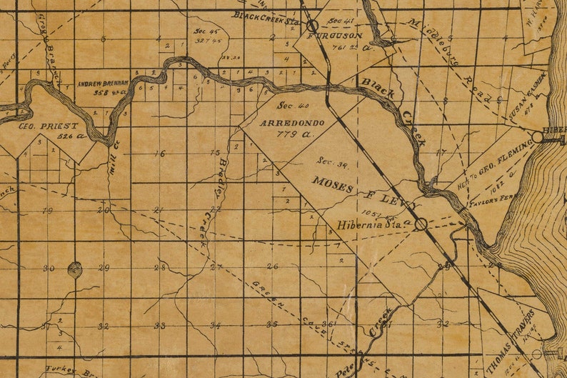 Clay County Florida 1885 Old Wall Map Reprint with roads | Etsy