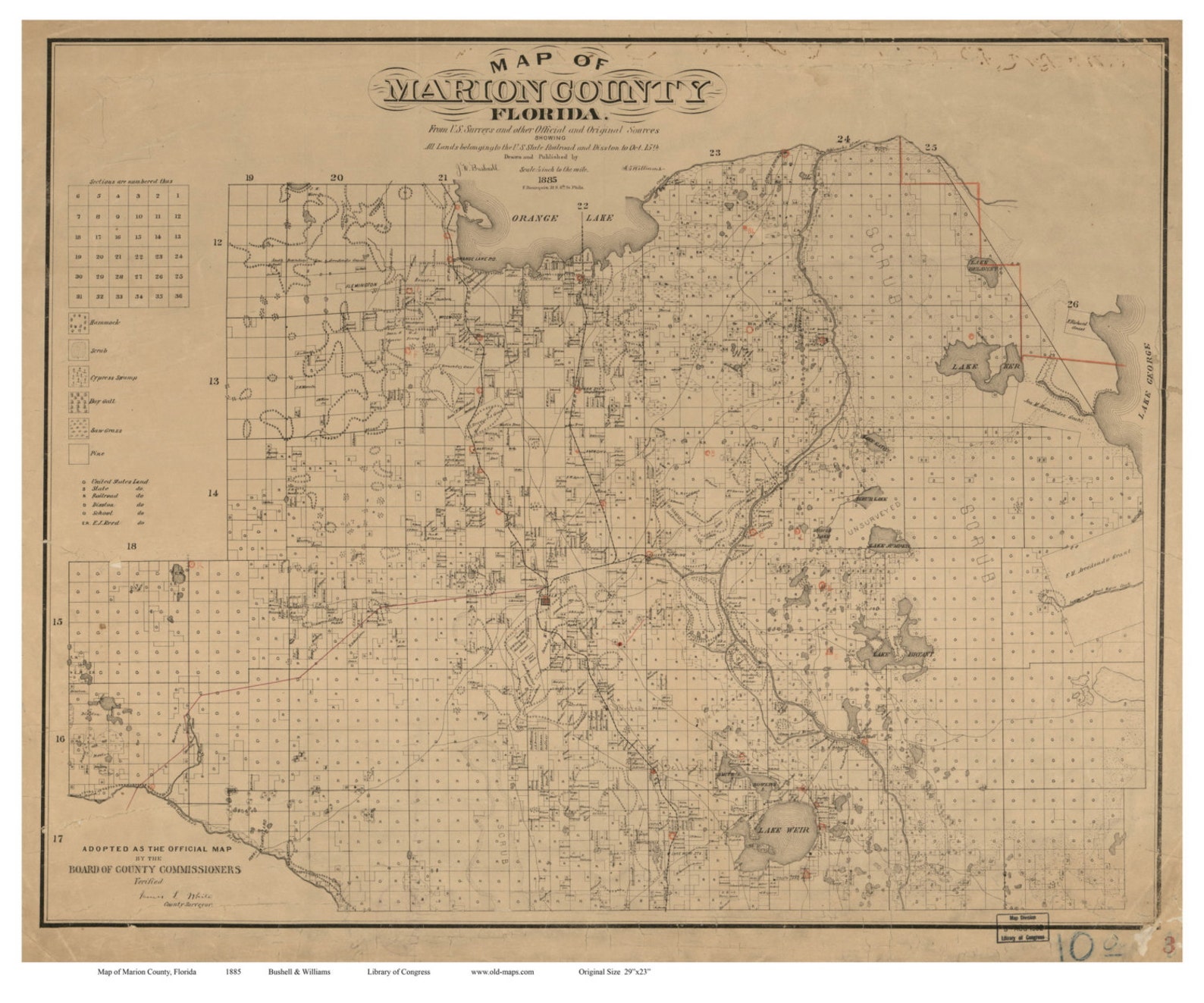 Marion County Florida 1885 Bushell & Williams Old Wall Map - Etsy