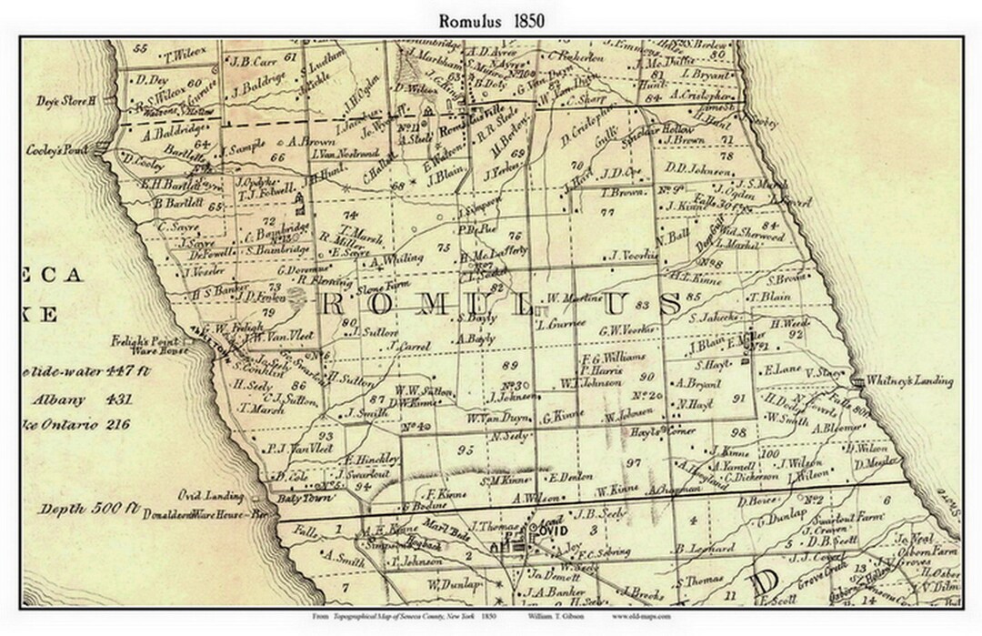 Romulus 1850 Old Town Map With Homeowner Names New York - Reprint ...