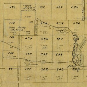 Lamb County, Texas - 1884 - Old Wall Map With Lot Lines - General Land ...