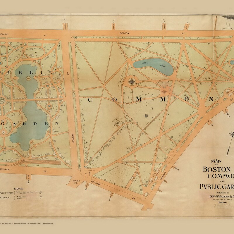Boston Common Maps - Etsy