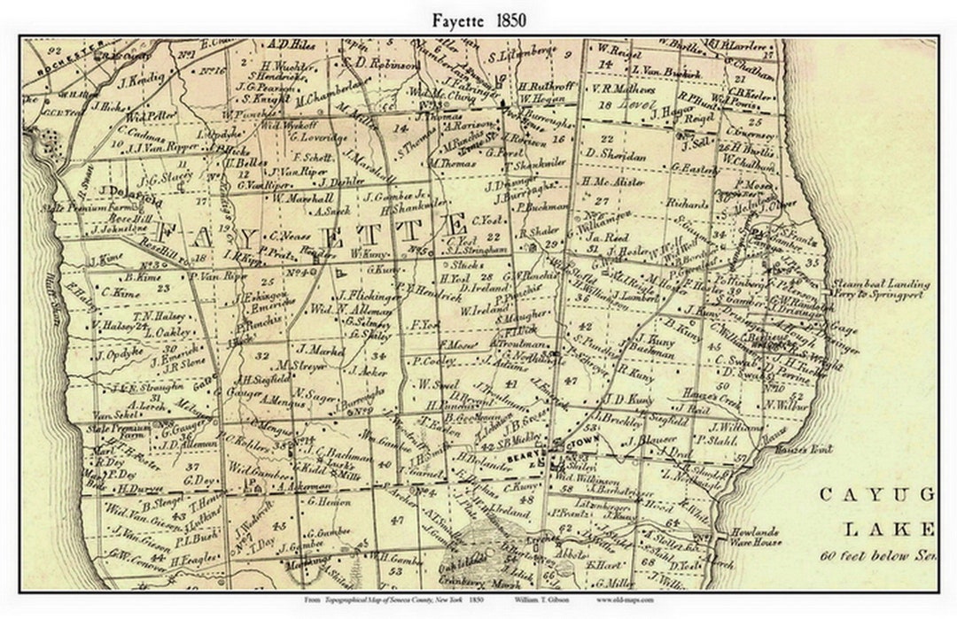 Fayette 1859 Old Town Map With Homeowner Names New York - Reprint ...